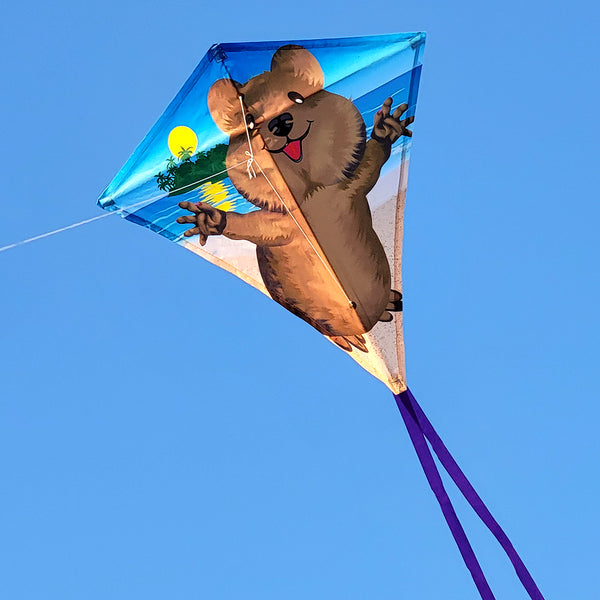 30 in. Diamond Kite - Quokka – Premier Kites & Designs
