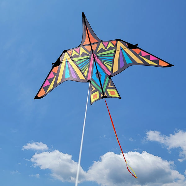 Thunderbird Kite - 16 ft. Rainbow Geometric – Premier Kites & Designs