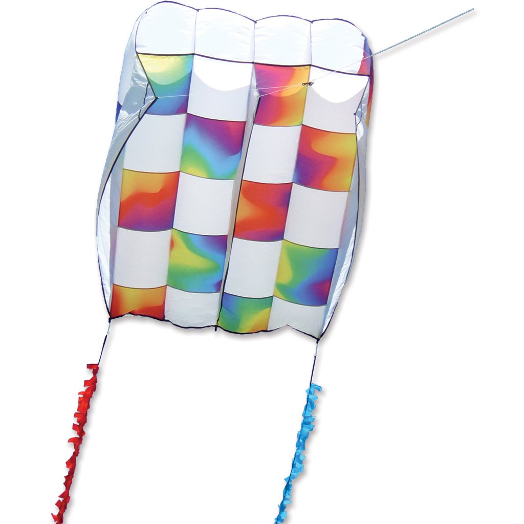 Killip Foil Kite 20 - Rainbow Check – Premier Kites & Designs