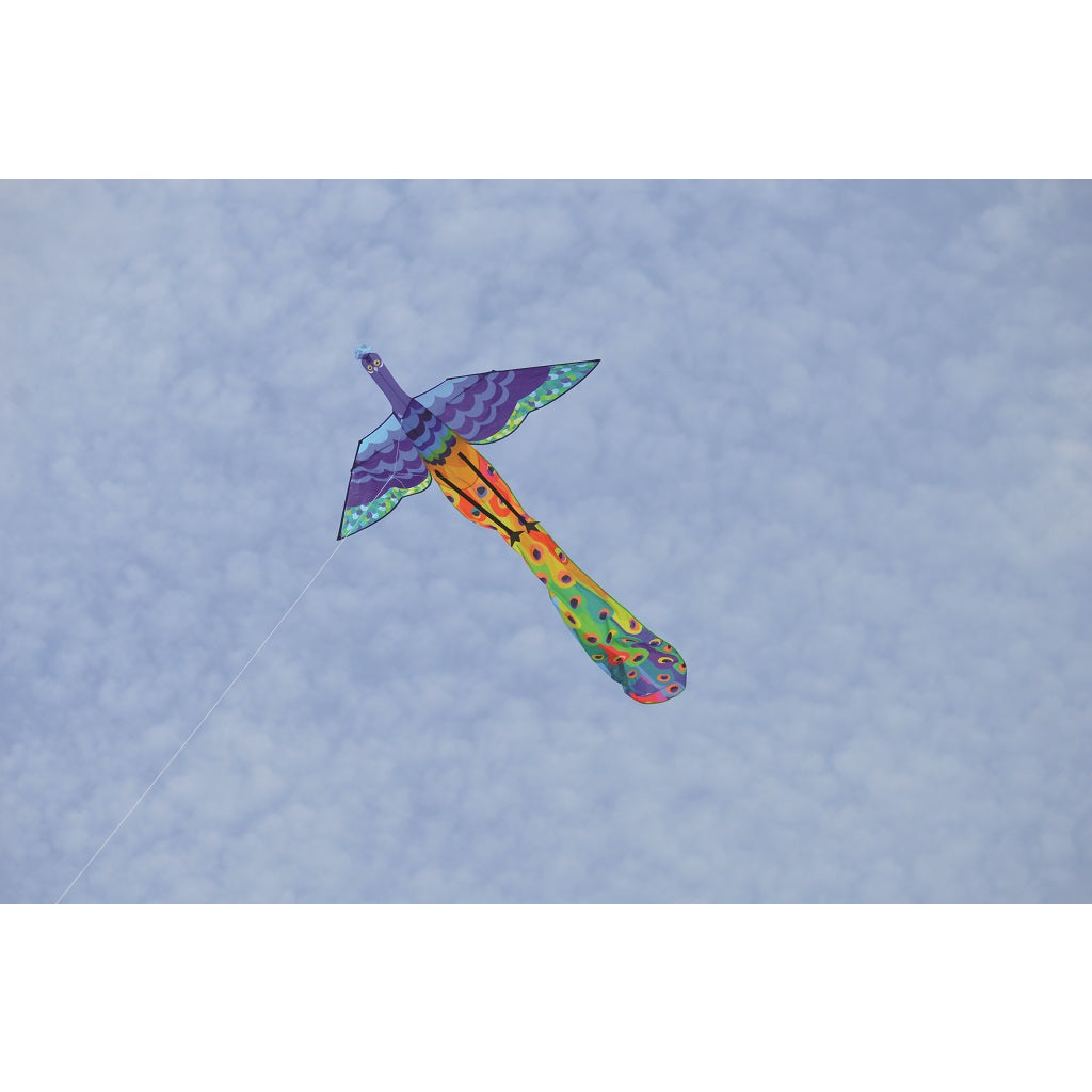 3-D Peacock Kite (Bold Innovations) – Premier Kites & Designs
