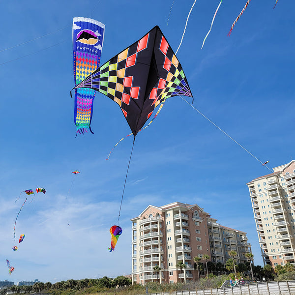 Gyro Delta Kite - Rainbow Checks – Premier Kites & Designs