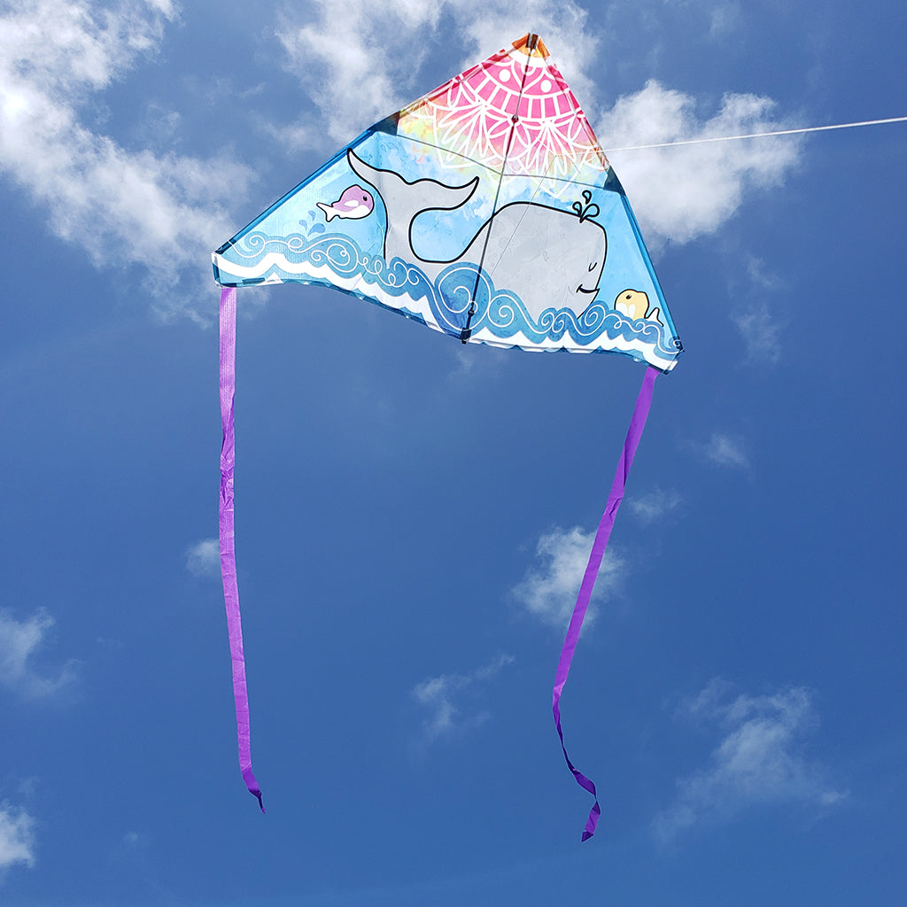 56 in. Delta Kite - Whale Mandala – Premier Kites & Designs