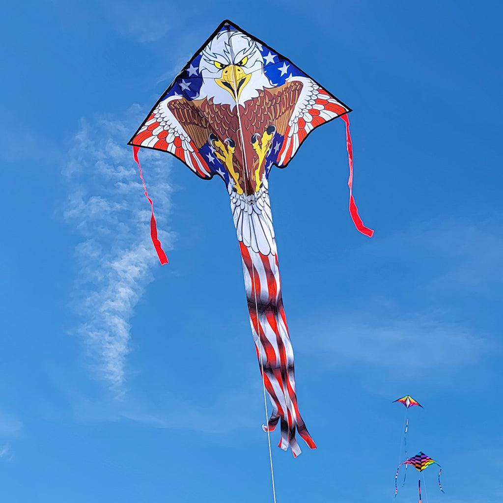 Large Easy Flyer Kite - Patriotic Eagle – Premier Kites & Designs