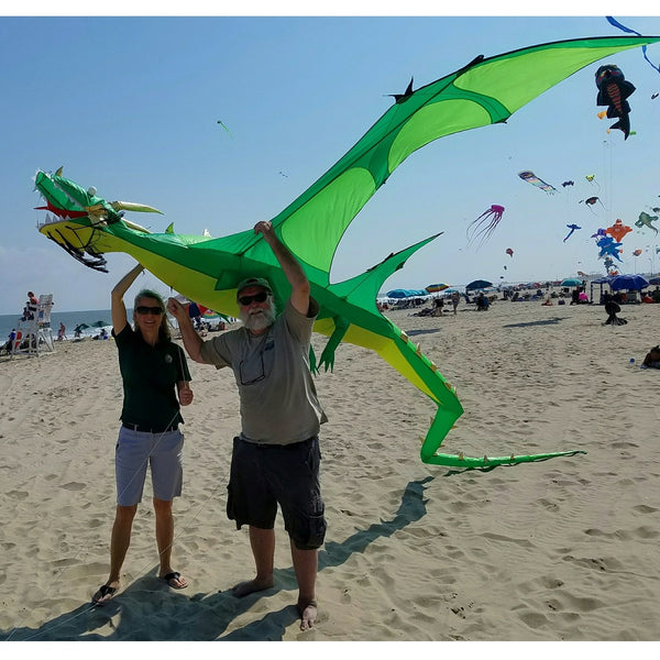 Giant Dragon Kite - Green – Premier Kites & Designs