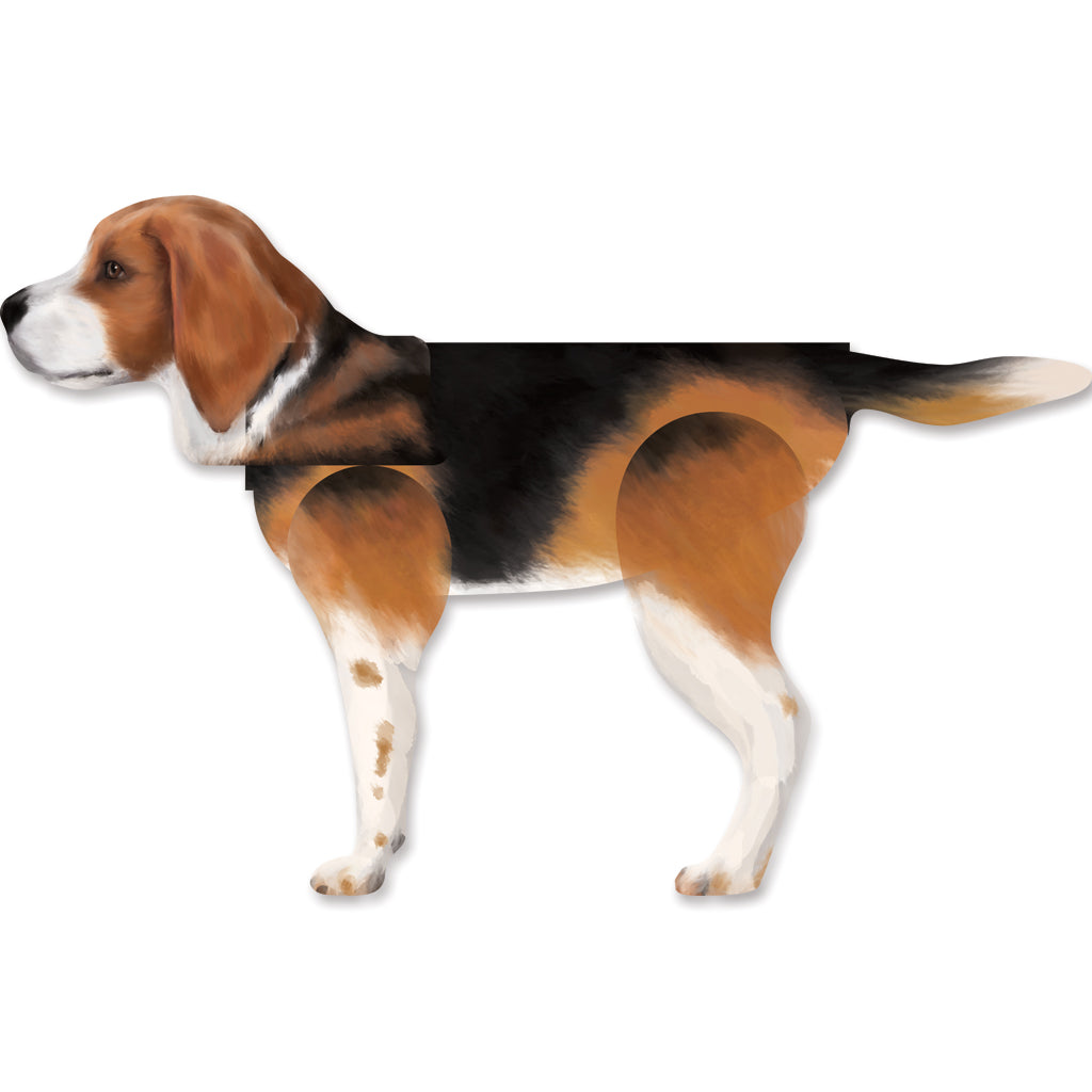 XL Windicator Weather Vane - Beagle – Premier Kites & Designs