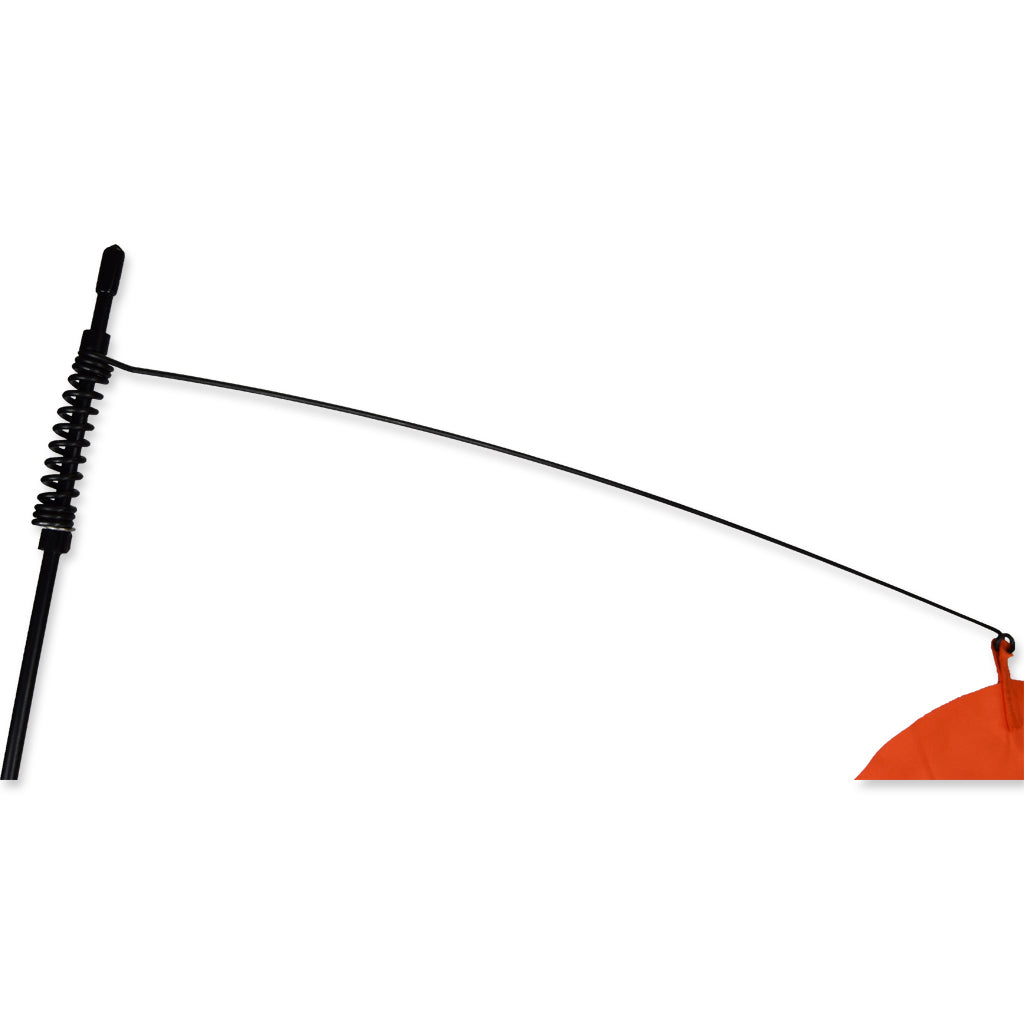 Swimming Fish Recumbent Bike Flag - Clownfish – Premier Kites & Designs